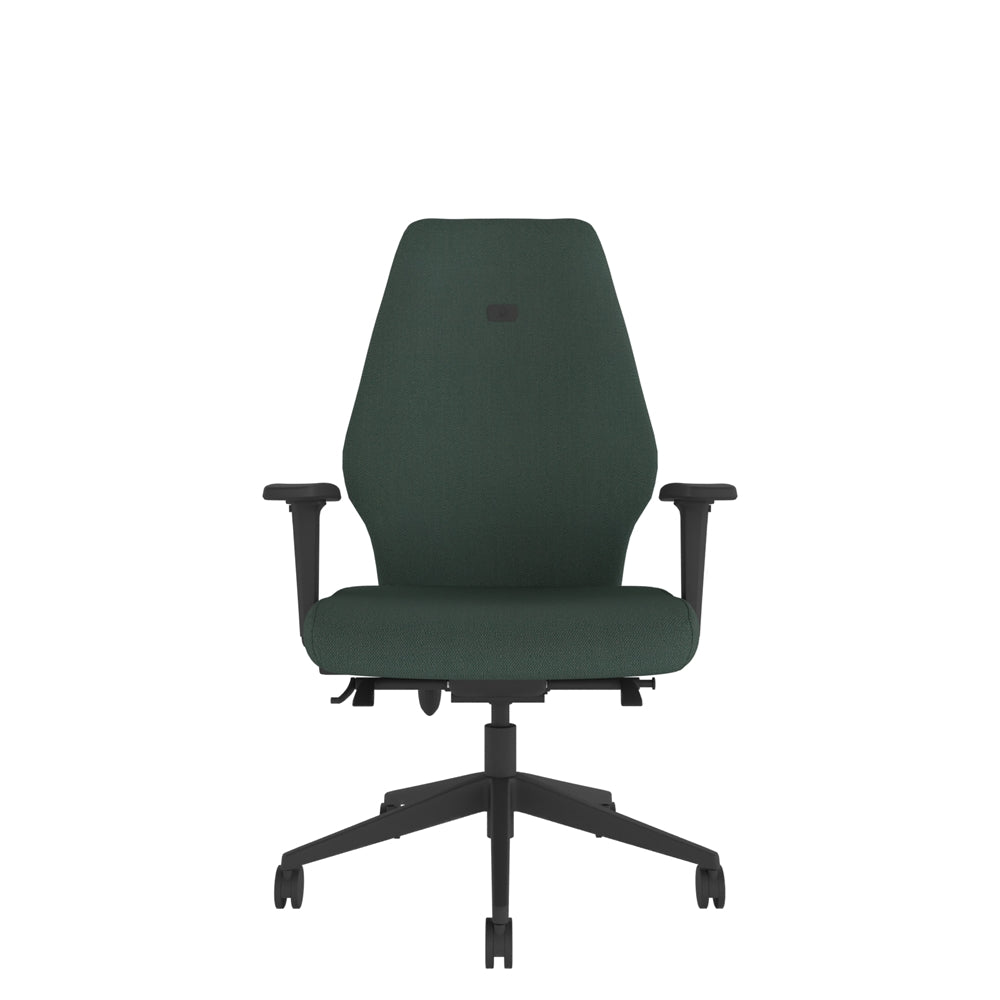 SL102 High Upholstered Back With 2D Arms – PAM Ergonomics